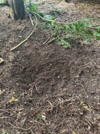 CWS1 Grant: Deer Control & Management Plan - GWD Wildlife Services